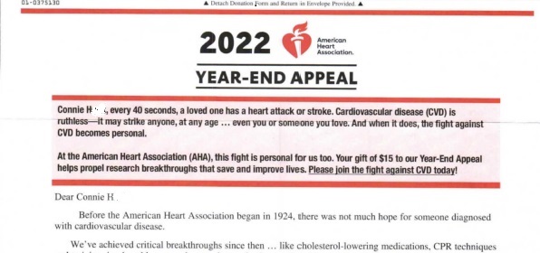 7 Top Direct Mail Tips for Year-End Fundraising - Blog | Who's Mailing ...